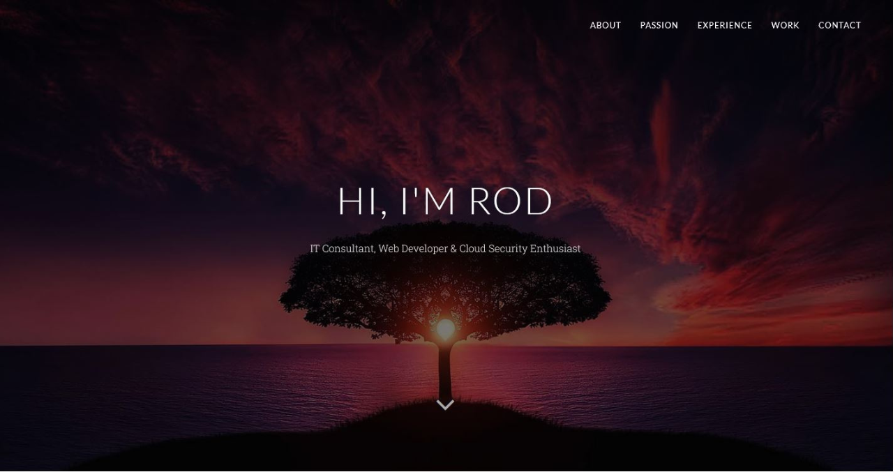 Rod Hill | IT Consultant